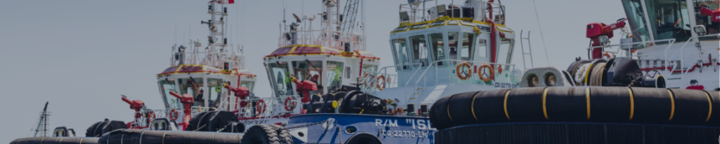 SERVICIOS – PSA MARINE PERU